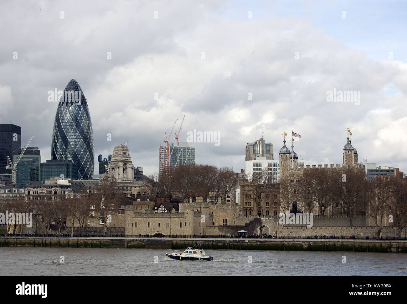Single gherkin hi-res stock photography and images - Alamy