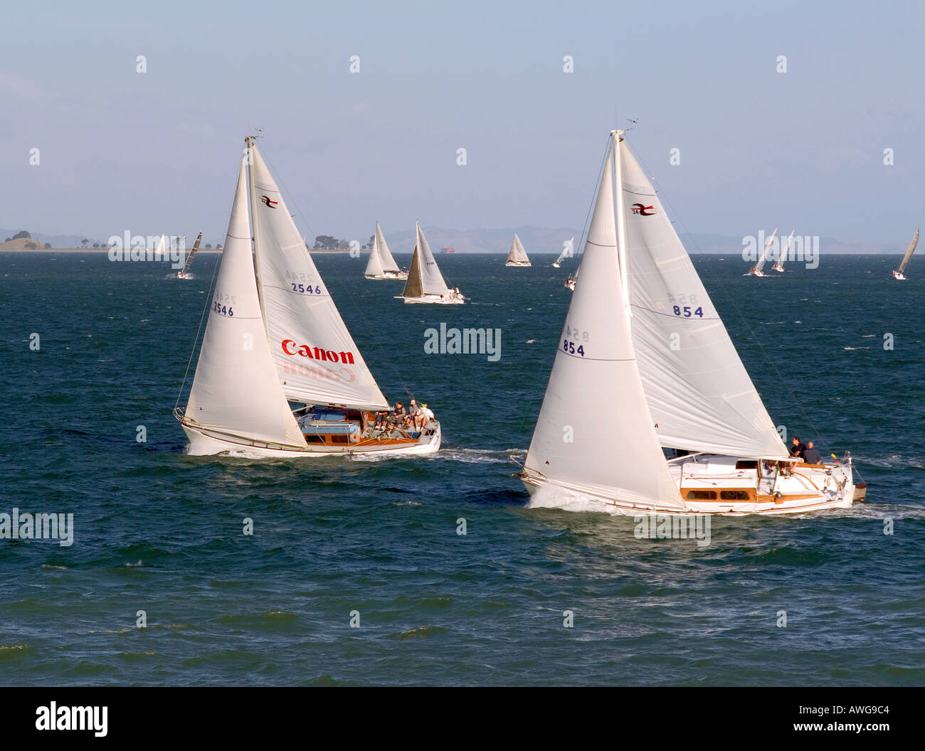 Sailing Yachts Waitemata harbour Huraki Gulf Auckland New Zealand Stock ...