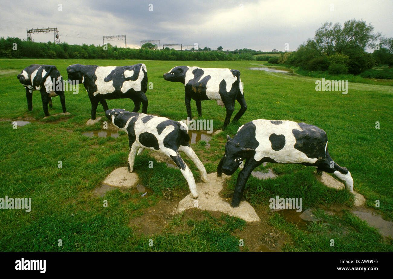 Liz leyhs hi-res stock photography and images - Alamy