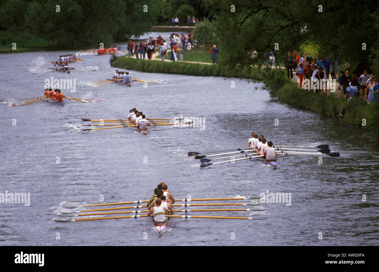 Rowing Regatta Oxford University Eights week Oxfordshire England HOMER ...
