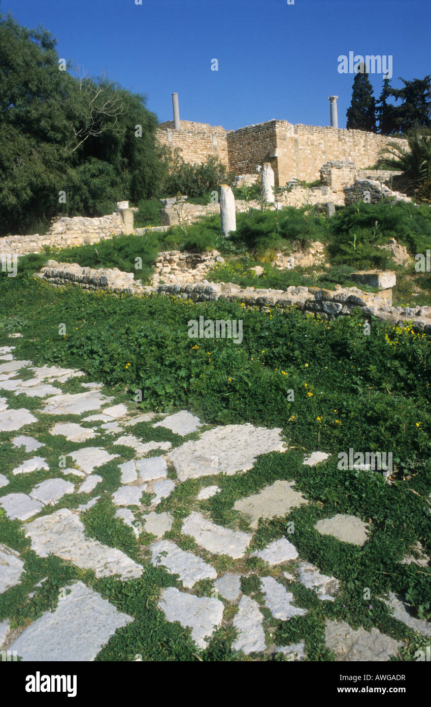 Carthaginois hi-res stock photography and images - Alamy