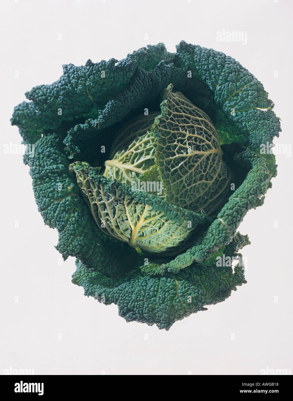 Curly savoy cabbage leaves hi-res stock photography and images - Alamy