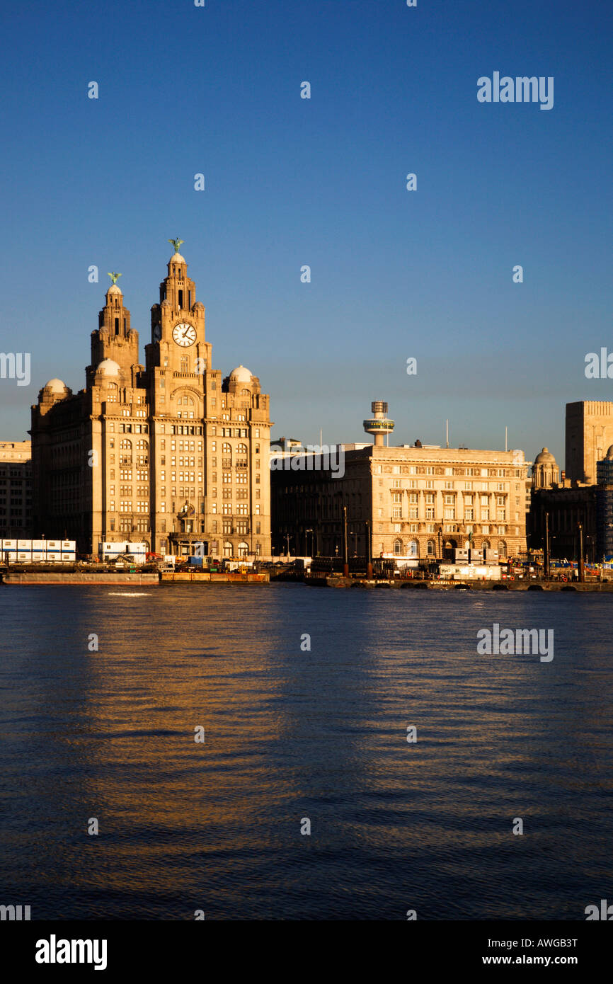 Royal Liver Building and Cunard Building Liverpool Merseyside England ...