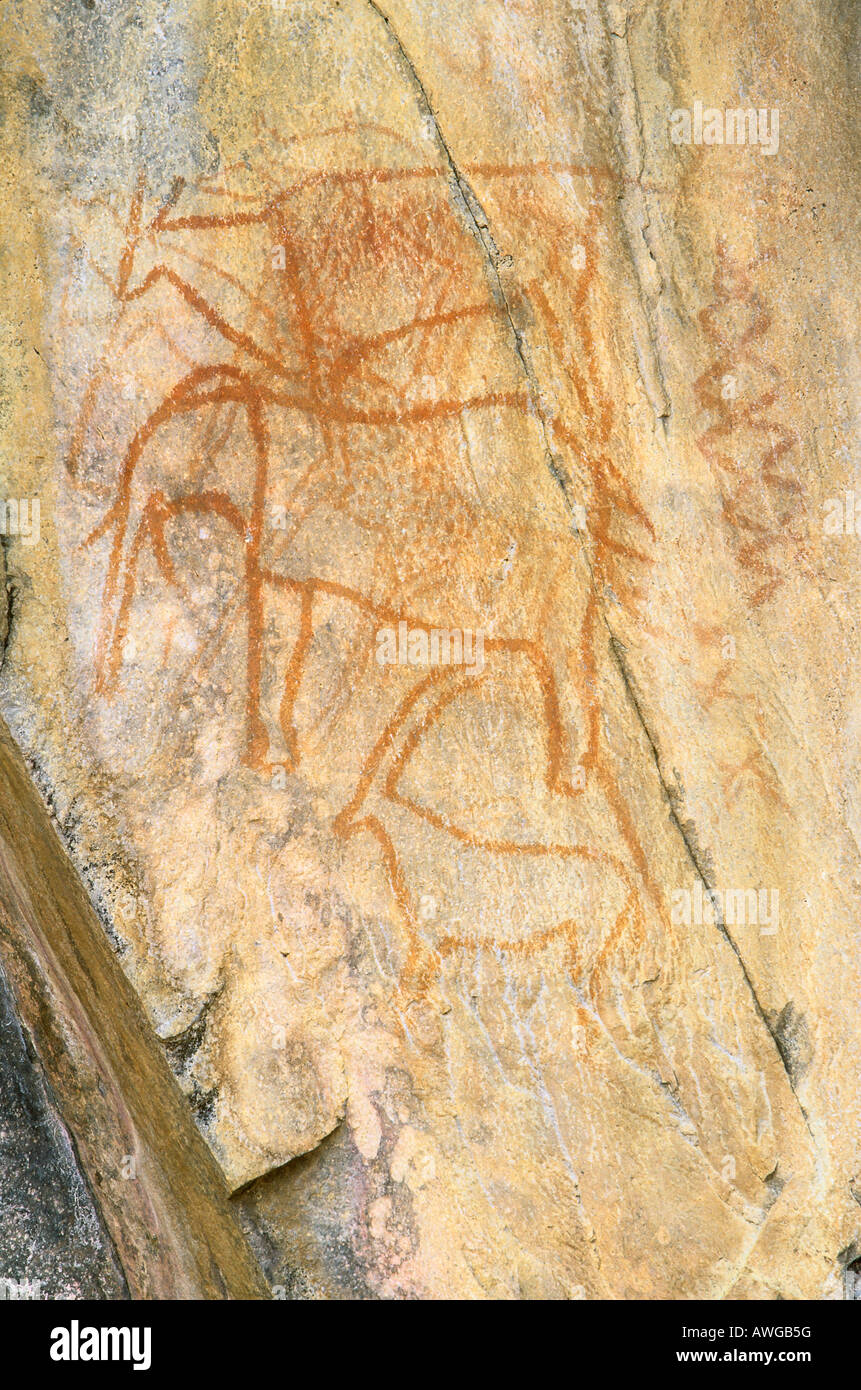 San bushman rock art paintings High Resolution Stock Photography and ...