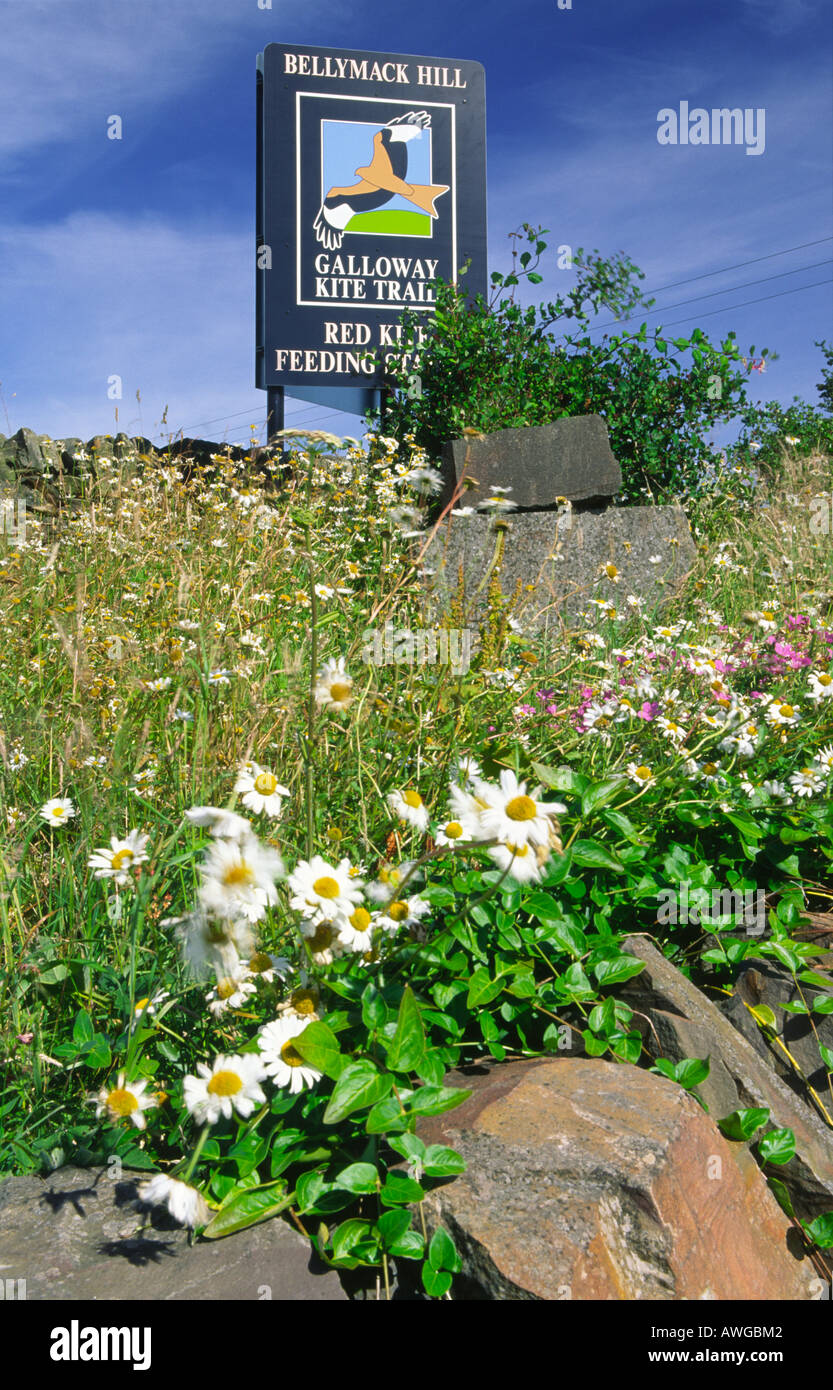 Galloway Red Kite Trail sign Stock Photo - Alamy