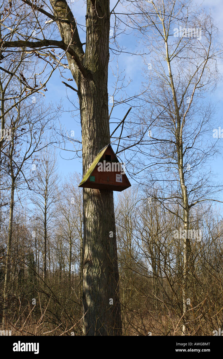 BARN OWL NEST BOX ON TREE Stock Photo - Alamy