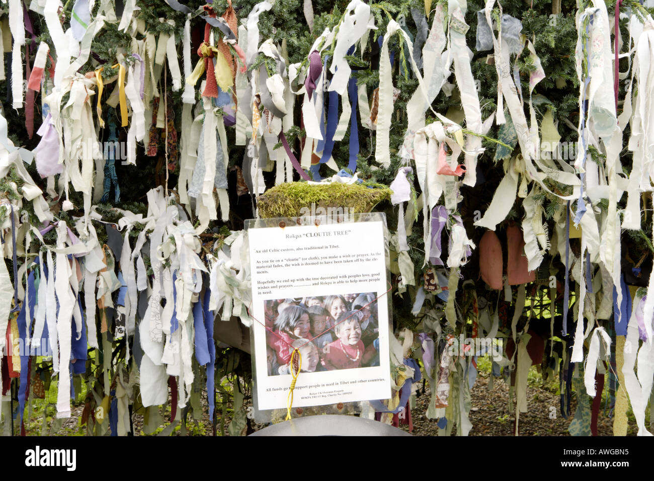 Rokpa “Cloutie Tree” Stock Photo - Alamy