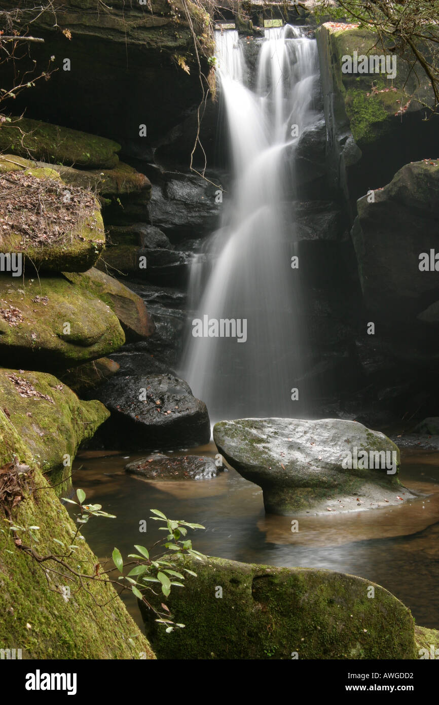 Alabama Franklin County,Phil Campbell,Dismals Canyon,ecological ...