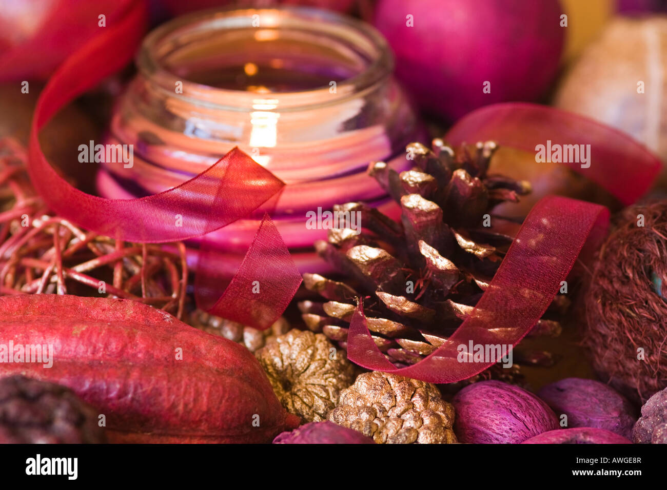 Colourful christmas flower decorations dried hi-res stock photography ...