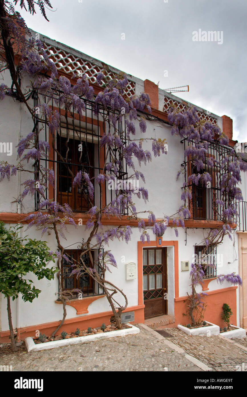 Ronda: House with Creepers Stock Photo - Alamy