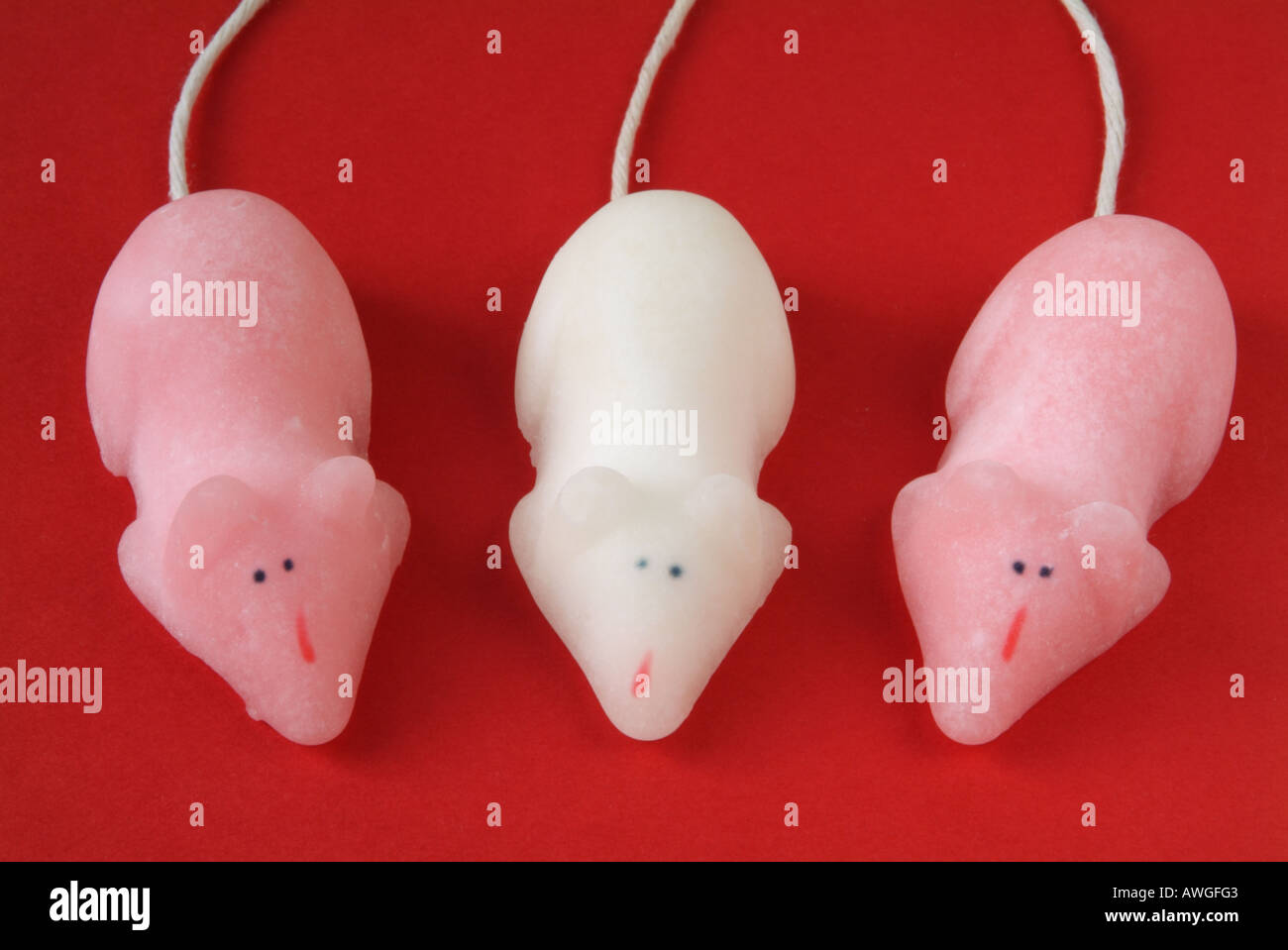 3 pink sugar mice hi-res stock photography and images - Alamy
