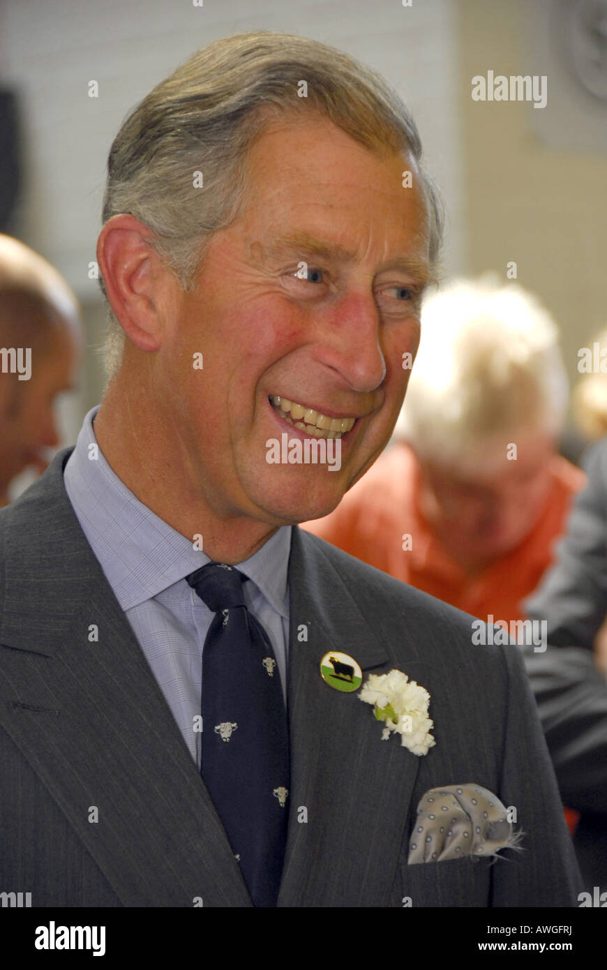 Upright portrait of HRH Prince Charles looking relaxed and smiling ...