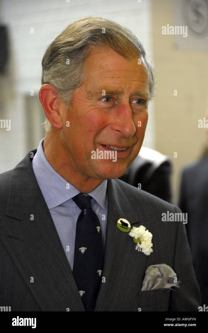 Upright portrait of HRH Prince Charles smiling - Prince of Wales Stock ...