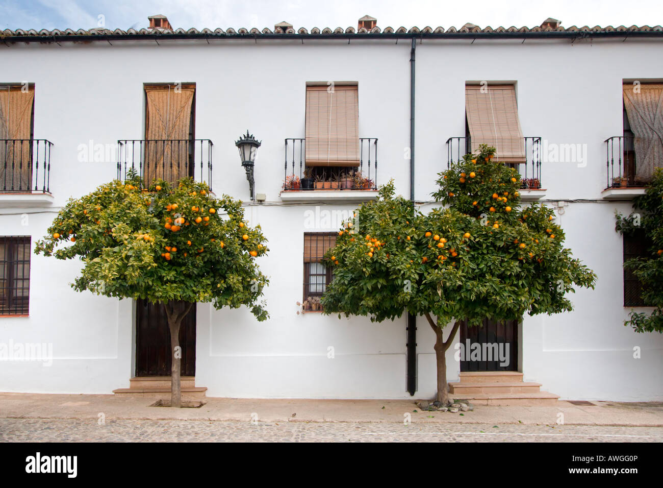 Ronda: Old Town Street with Orange Trees Stock Photo - Alamy