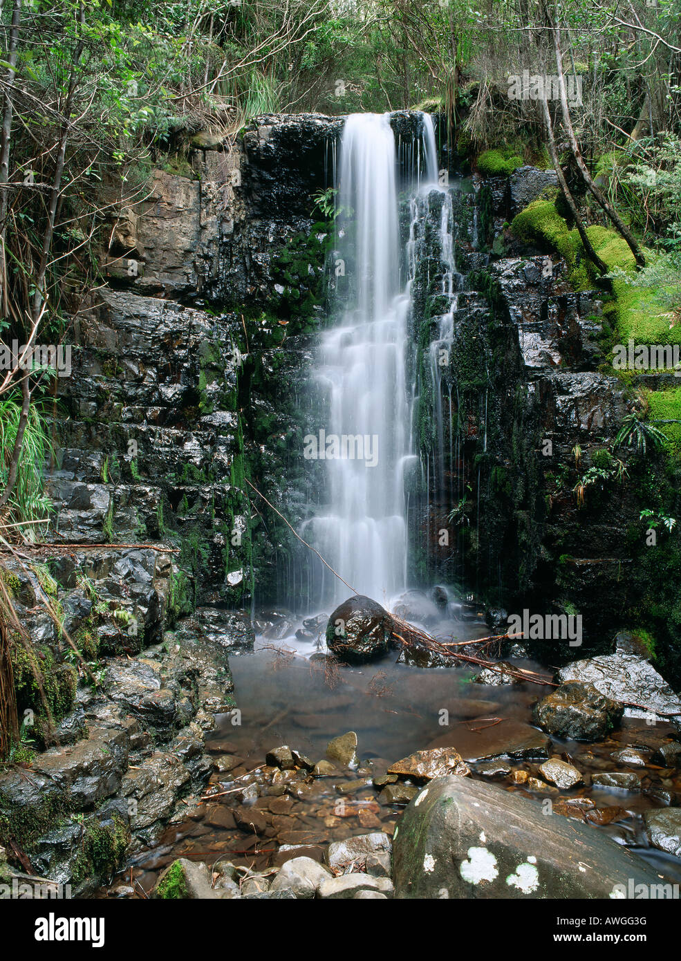 O'Gradys falls Mount Wellington track in Tasmania island Stock Photo - Alamy