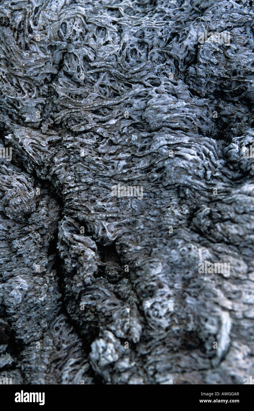 Cold lava in the area of Krafla Myvatn Islande Stock Photo - Alamy