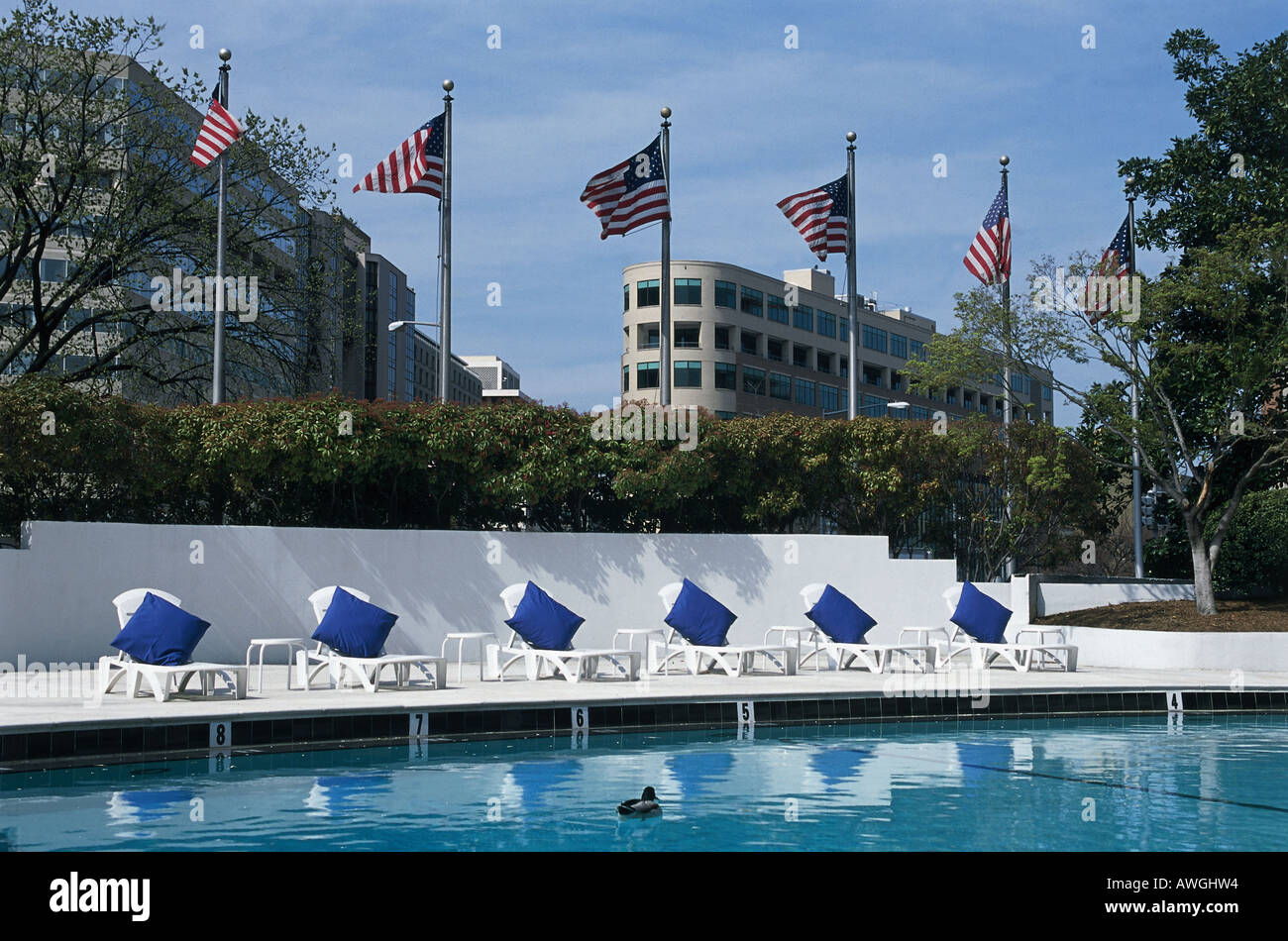 USA, Washington, D.C., Washington Plaza, stars and stripes flags flying ...