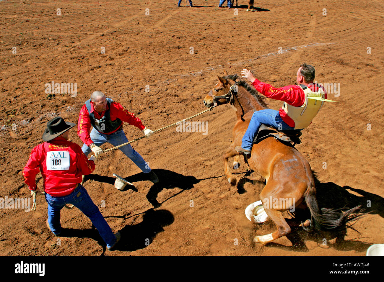 Wild horse race at Mt Isa rodeo Stock Photo - Alamy