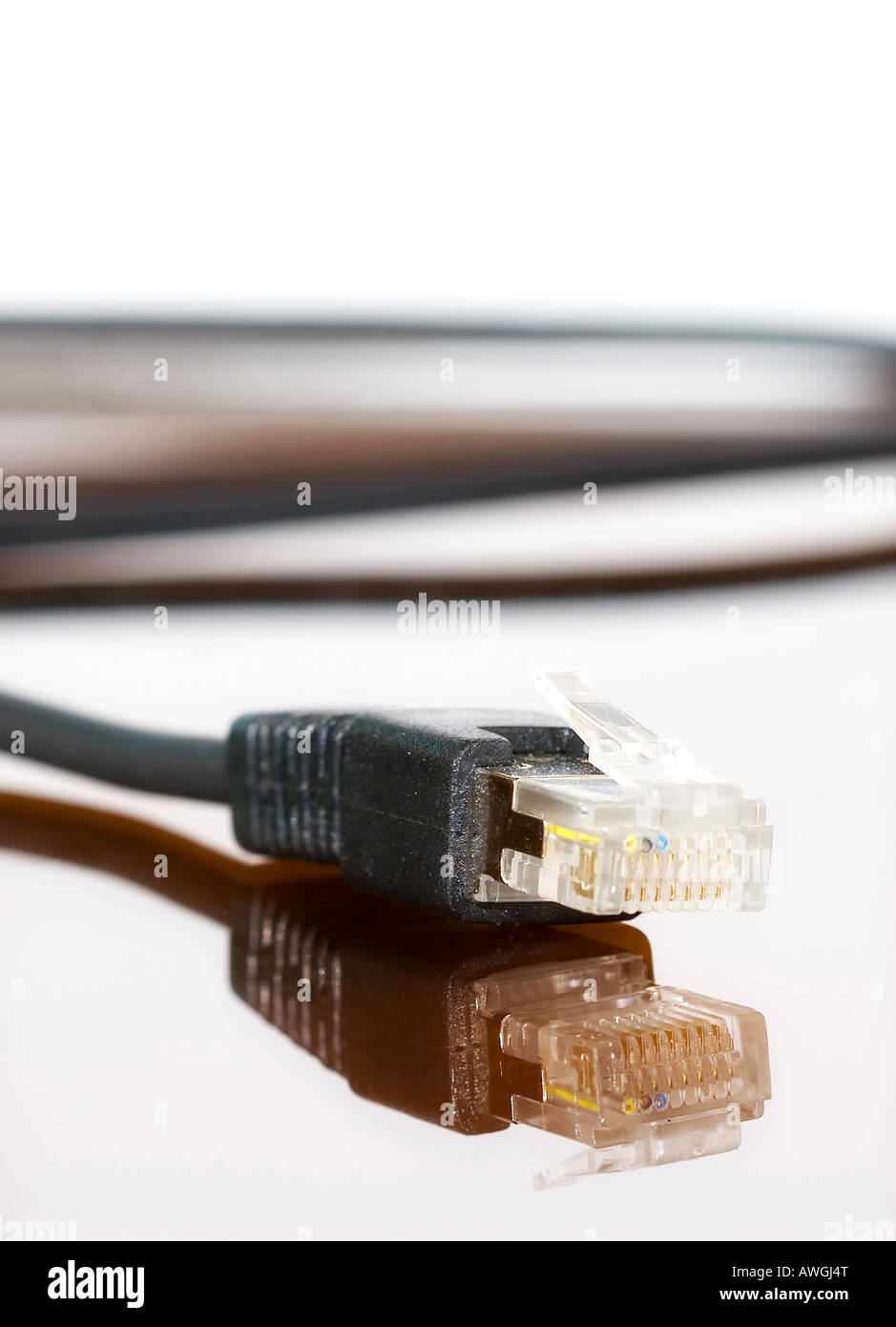 computer ethernet cable on neutral background with reflection Stock ...