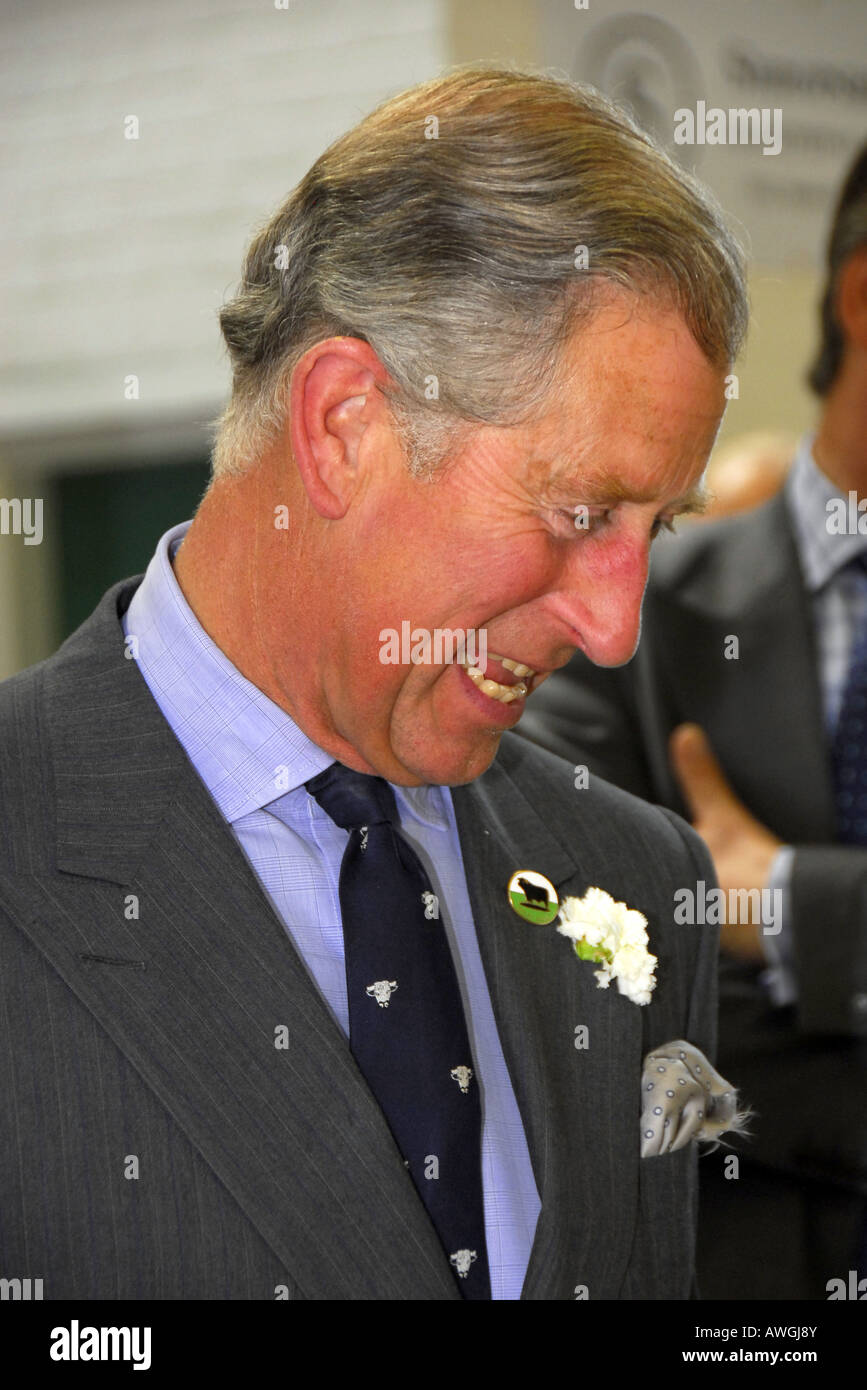 Upright portrait of HRH Prince Charles smiling - Prince of Wales Stock ...