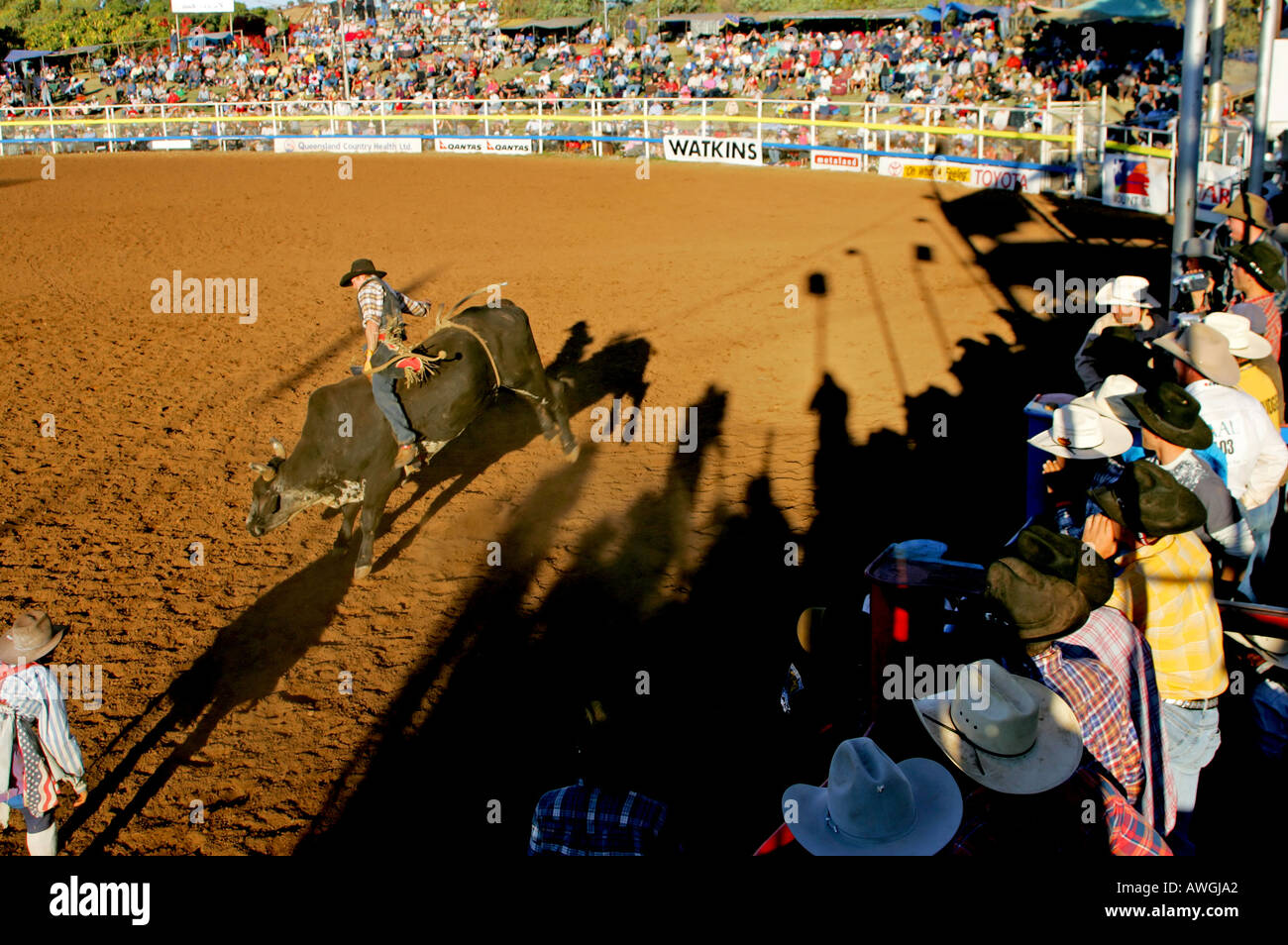 Bull riding Mt. Isa Stock Photo - Alamy