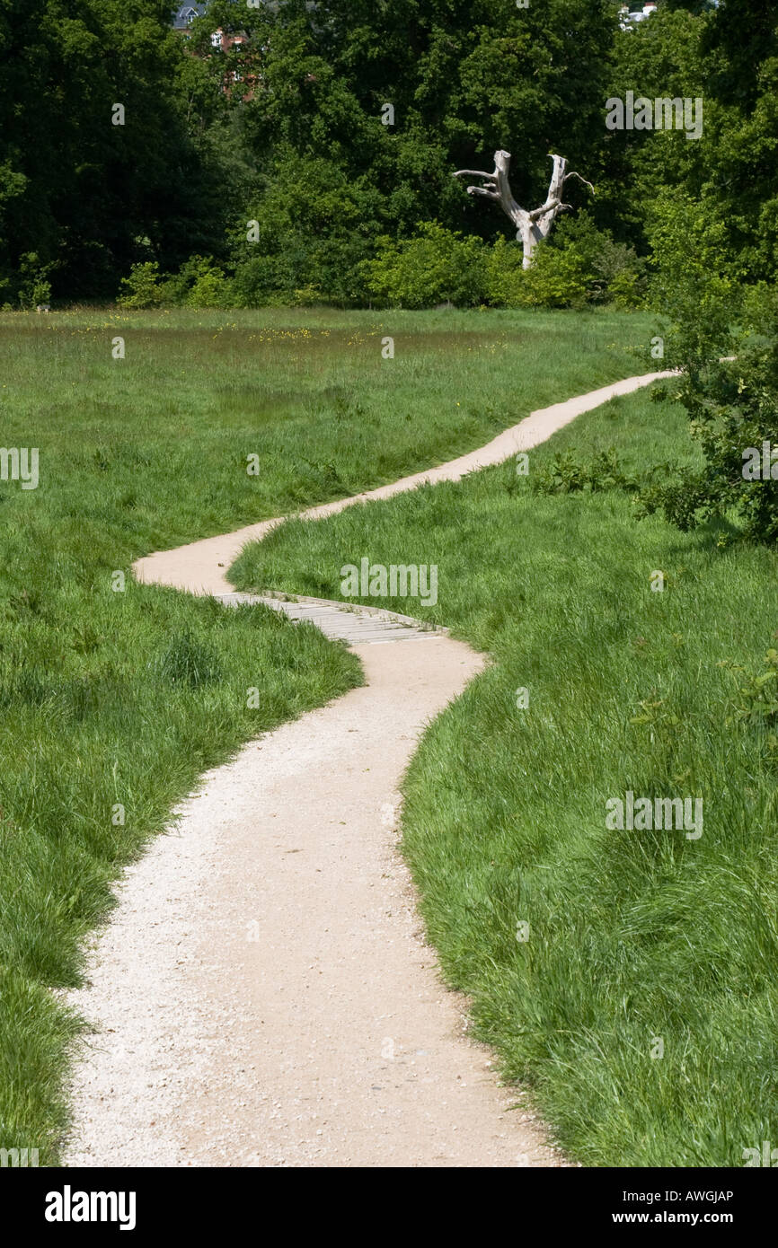 Curvy path cuts through the grass of Dunorlan Park, Royal Tunbridge ...