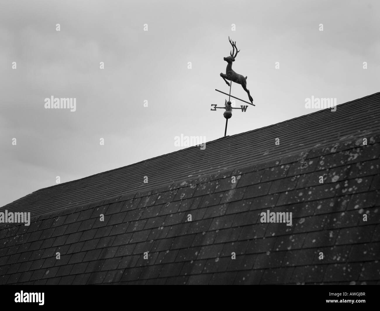 A Connecticut Farm with a weathervane Stock Photo - Alamy