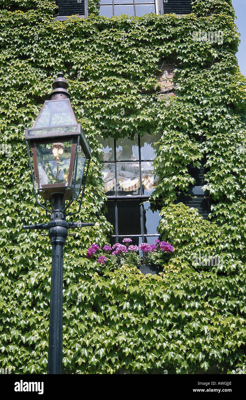 Ivy clad facade hi-res stock photography and images - Alamy