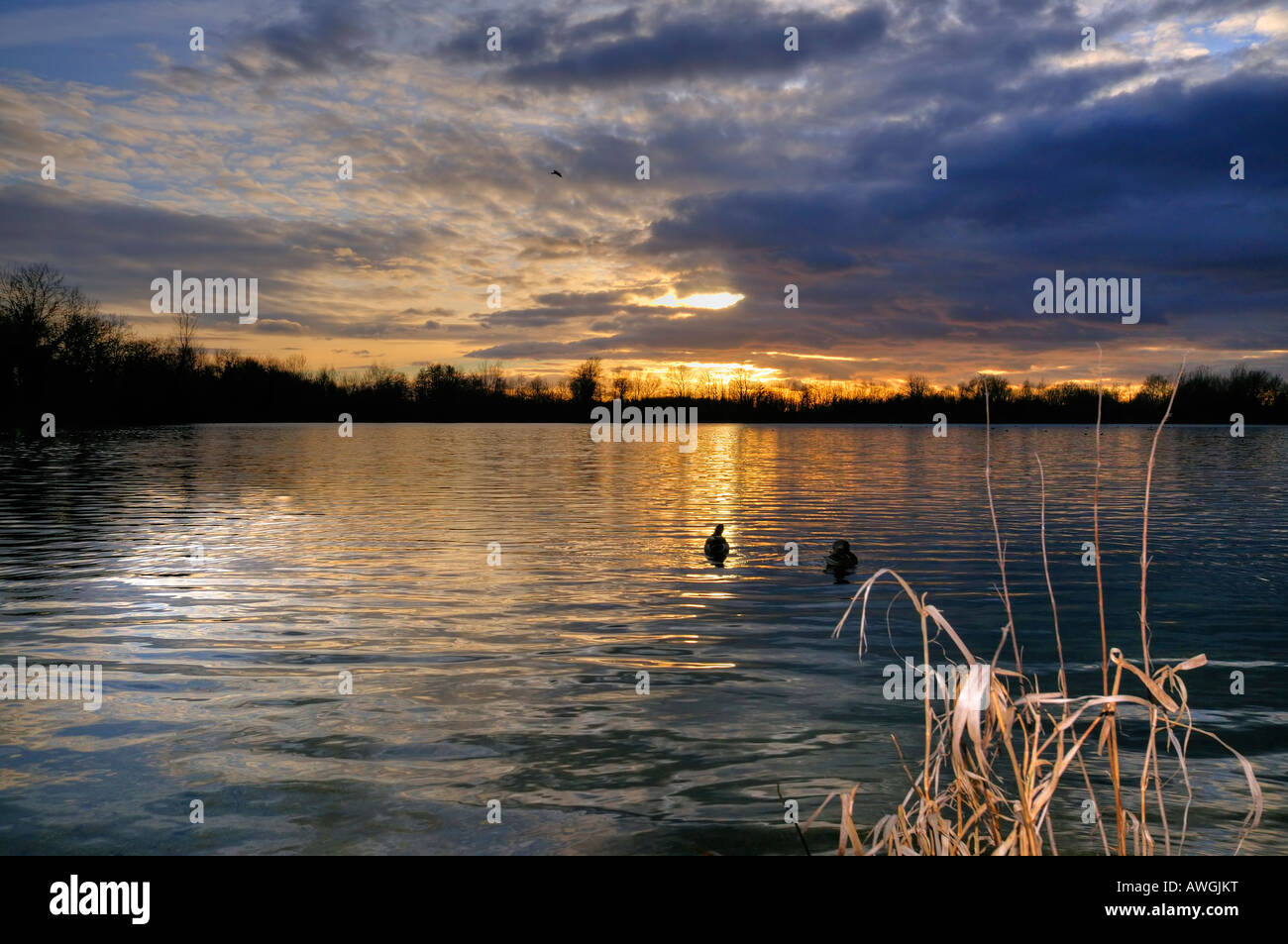 Sunset on Lake Cotswold Water Park Gloucestershire Stock Photo - Alamy