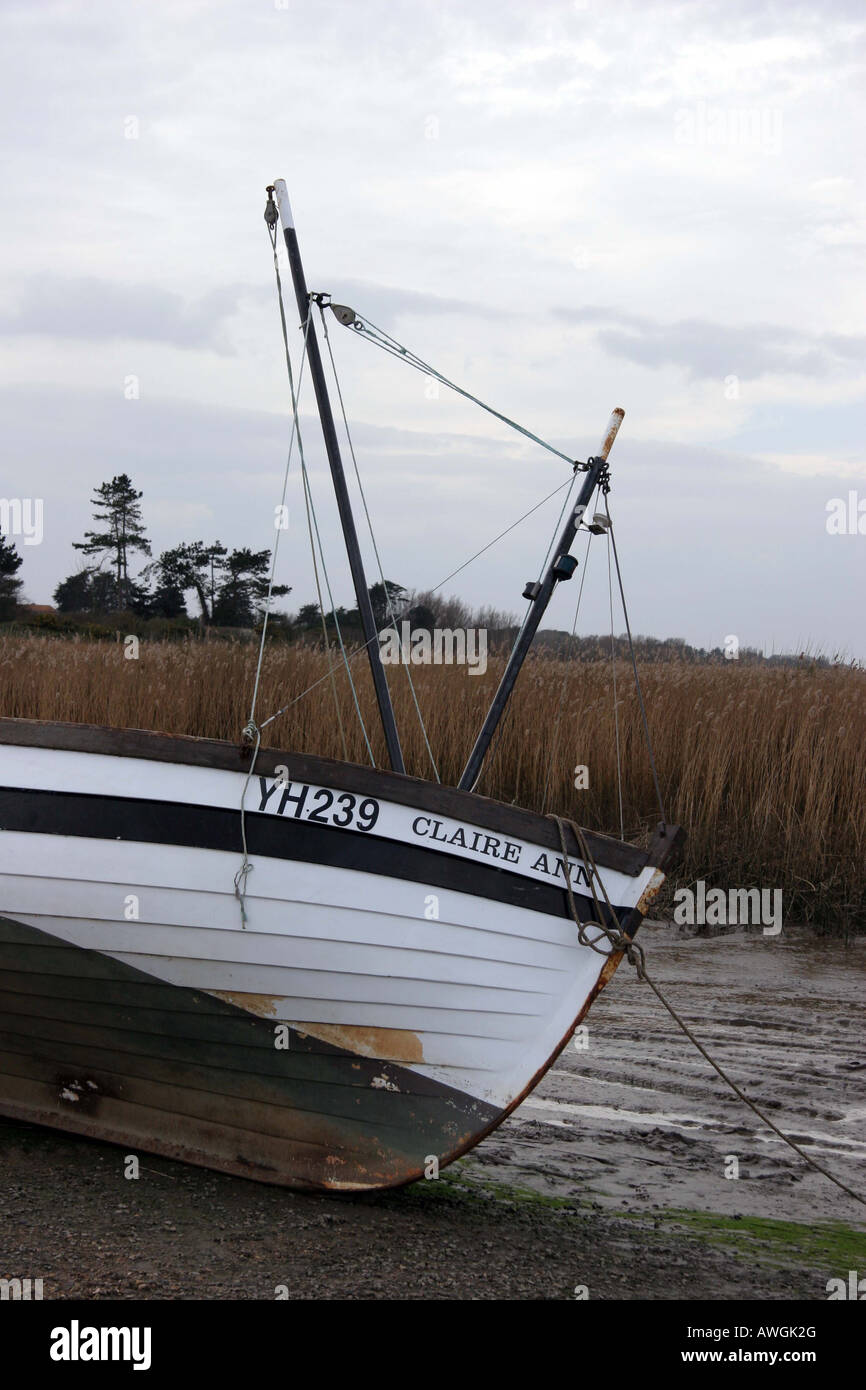 Laying on mud hi-res stock photography and images - Alamy