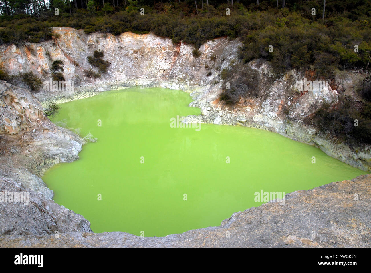 Hot springs. Rotorua. North Island. New zealand Stock Photo - Alamy