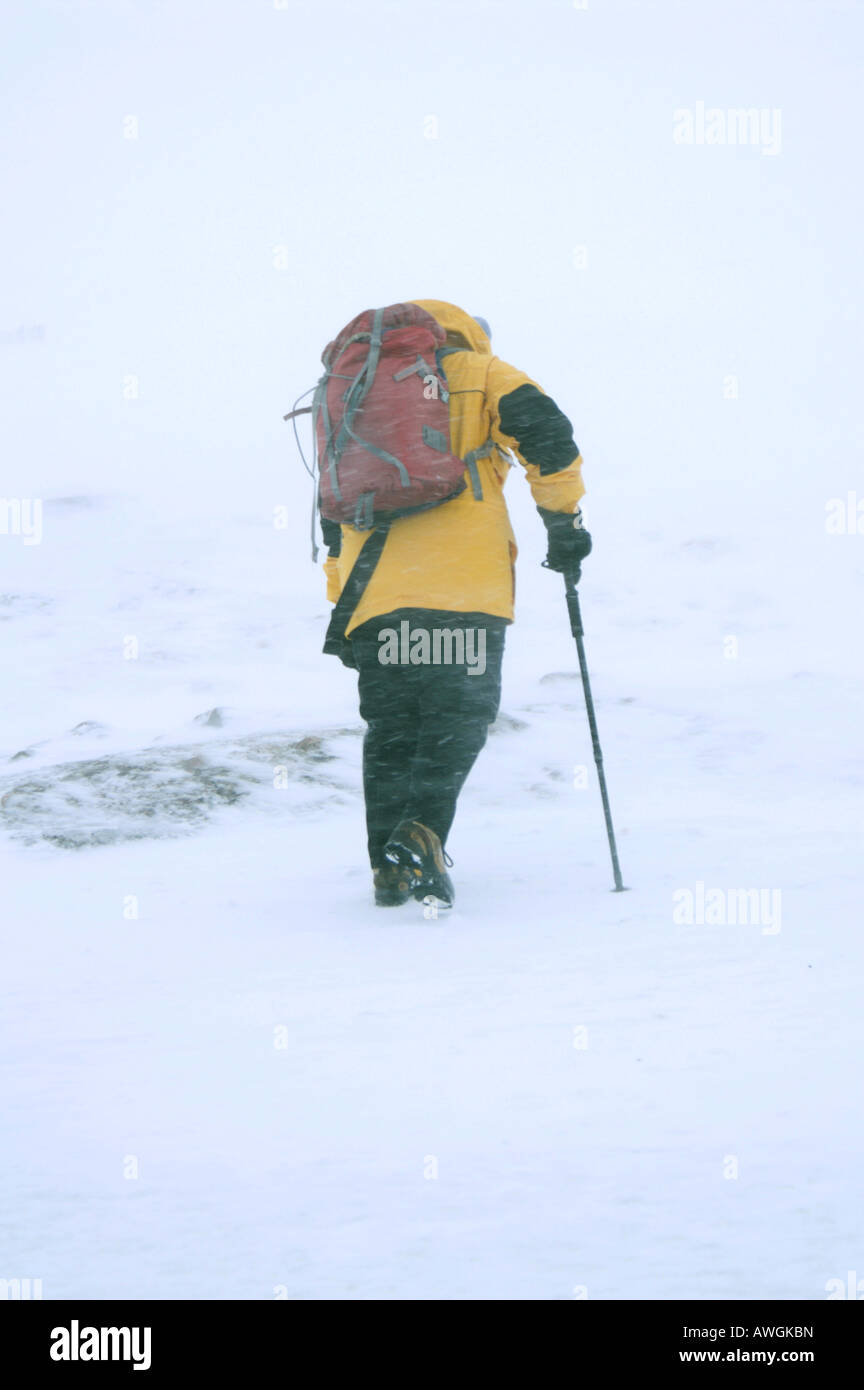 Hill walker in blizzard Stock Photo - Alamy