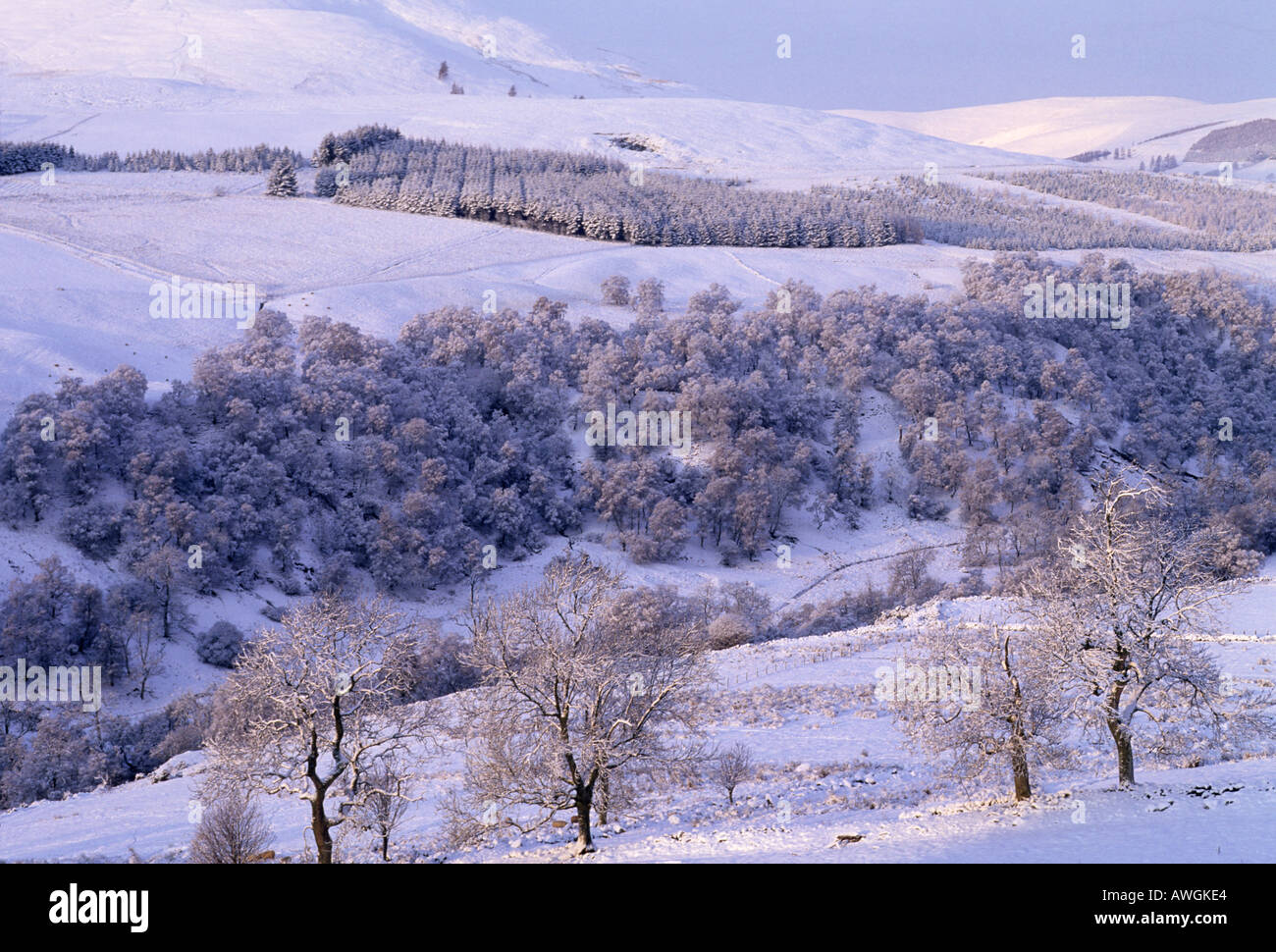 Glen clova hi-res stock photography and images - Alamy