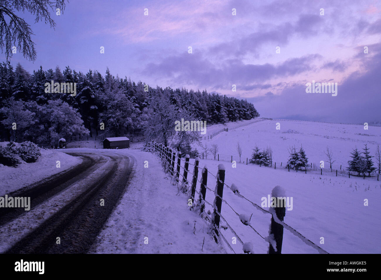 Angus road hi-res stock photography and images - Alamy