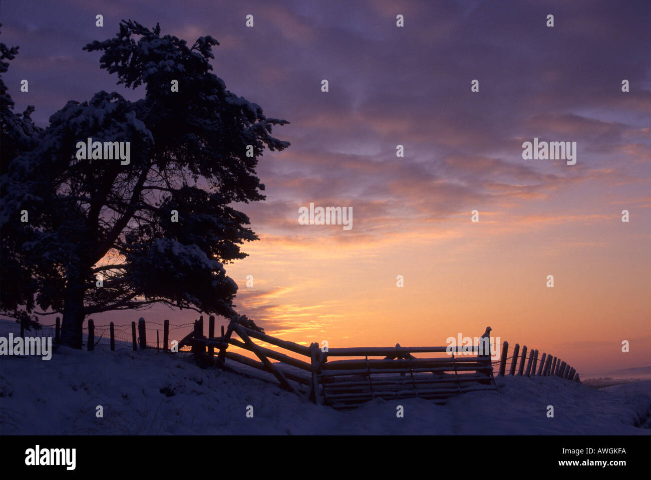 Lochnagar in winter hi-res stock photography and images - Alamy