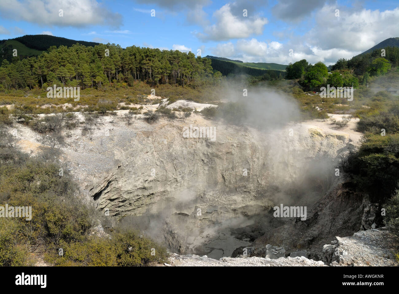 Rotorua mud springs. North Island. New Zealand Stock Photo - Alamy