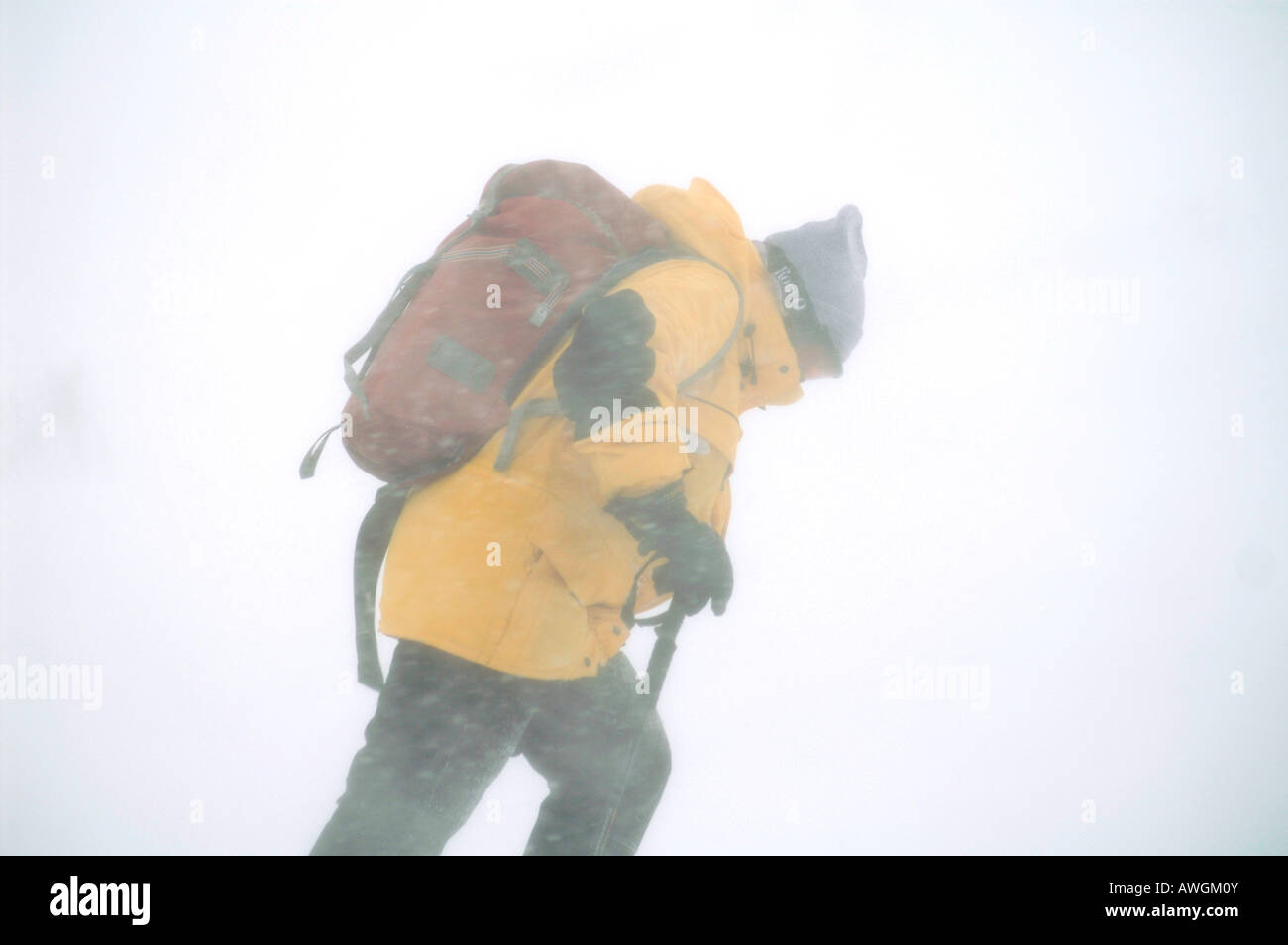 Blizzard walking hi-res stock photography and images - Alamy