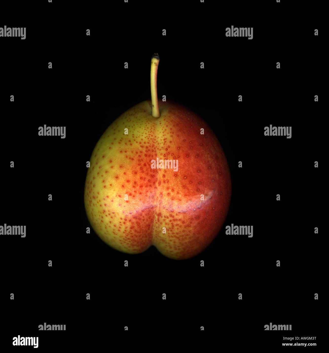 Single Pear on a dramatic black background Stock Photo - Alamy