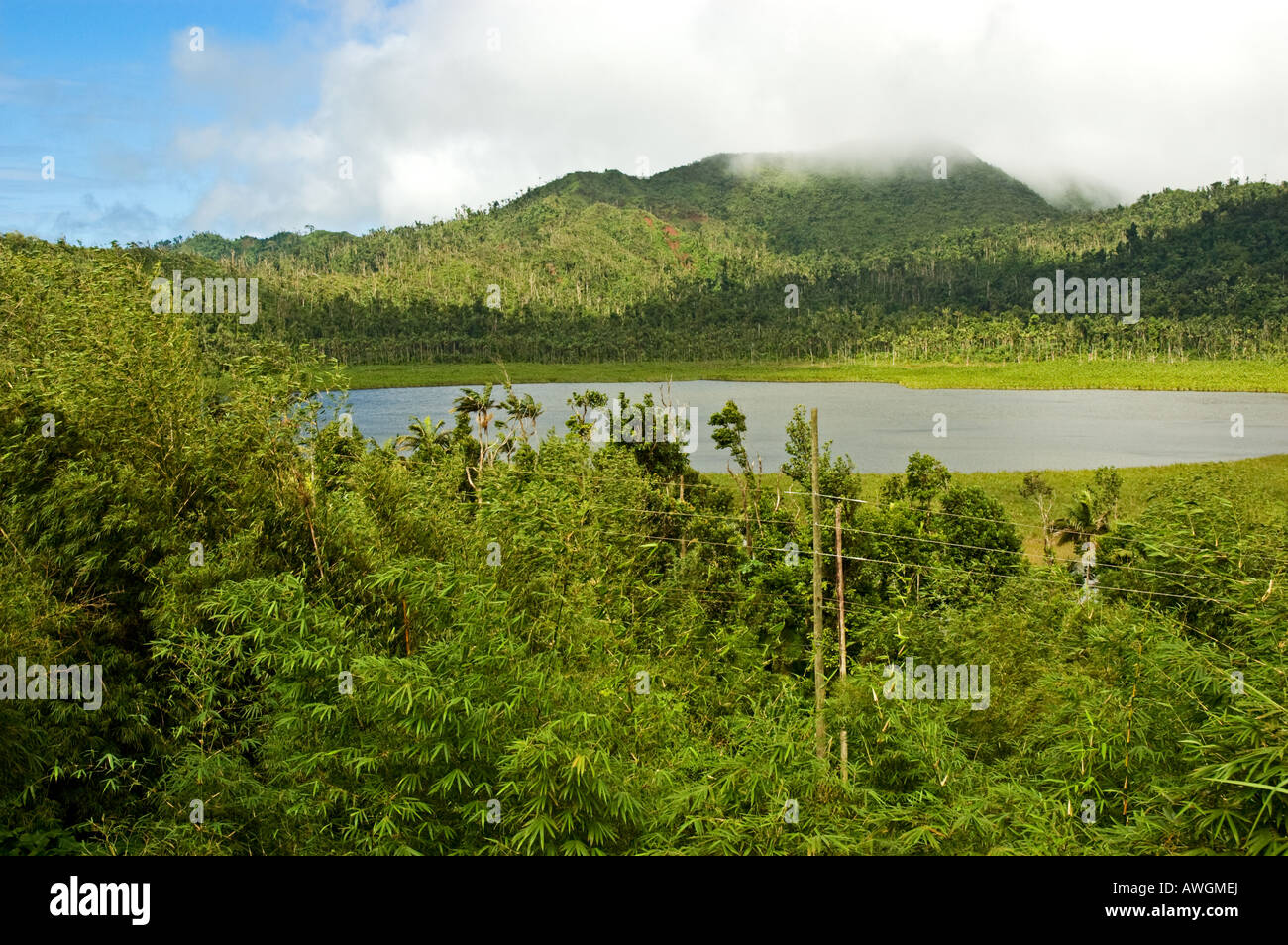 Grand Etang Lake fills an Extinct Volcano Crater with Cloud on the ...