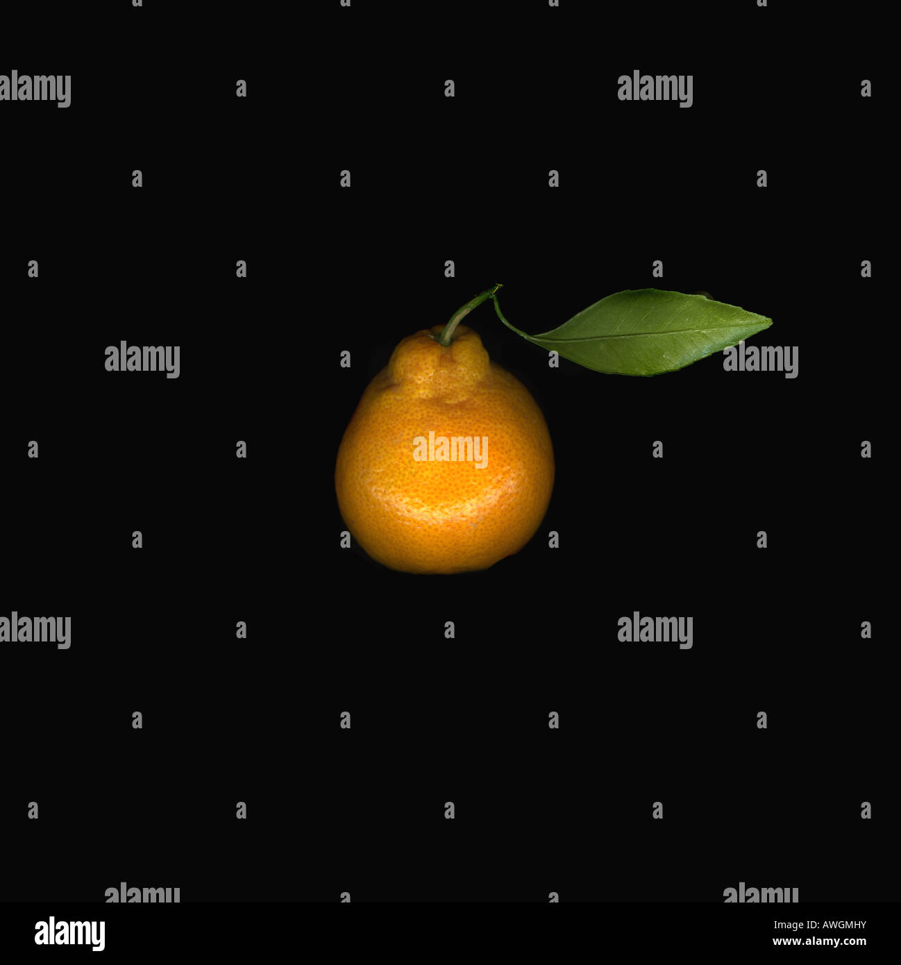 Tangelo fruit hi-res stock photography and images - Alamy