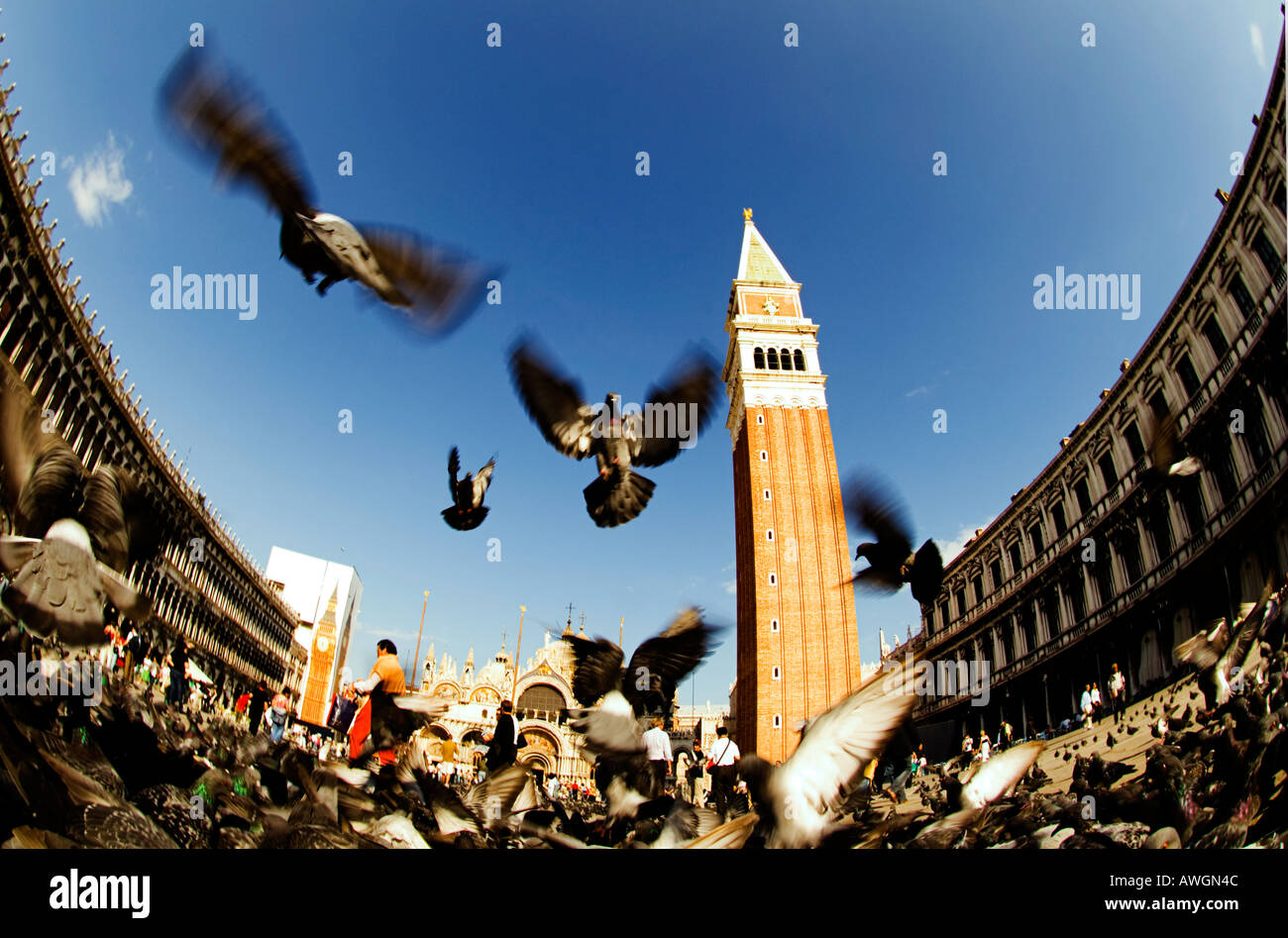 pigeons fly up in San Marcos square Stock Photo - Alamy