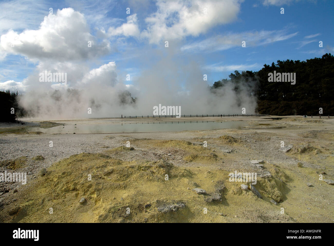 Rotorua mud springs. North Island. New Zealand Stock Photo - Alamy