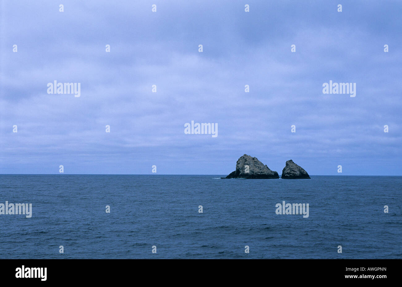 South georgia shag shag rocks hi-res stock photography and images - Alamy
