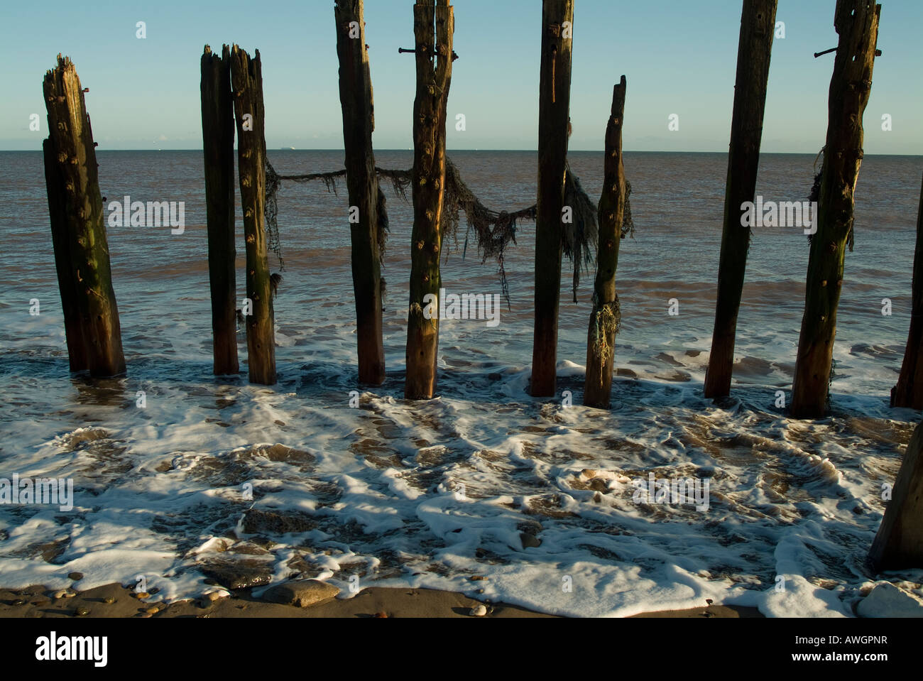 Wooden breakwaters or groynes at Spurn Point, East Yorkshire Stock ...