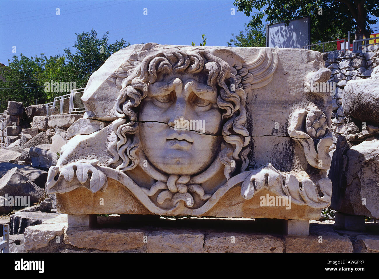 Carved relief of head of medusa with serpentine curls hi-res stock ...