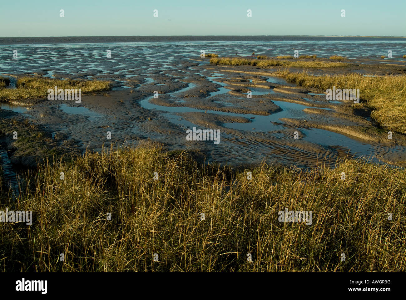 mud flats at spurn Point East Yorkshire Stock Photo - Alamy