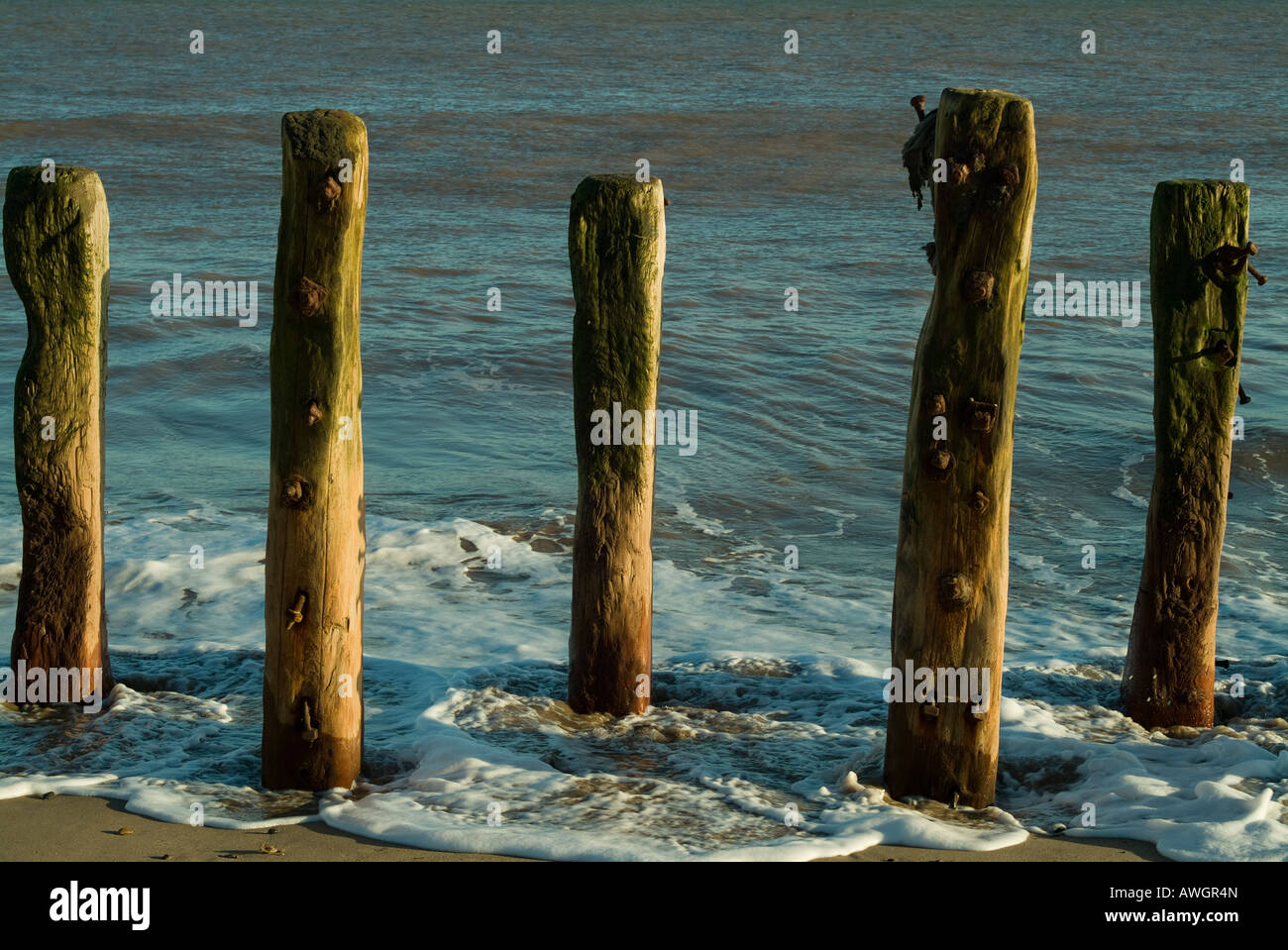 Groyne point hi-res stock photography and images - Alamy