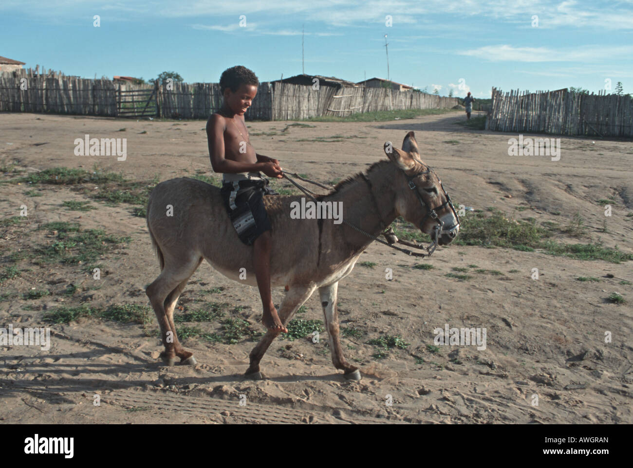 Donkey child riding hi-res stock photography and images - Alamy