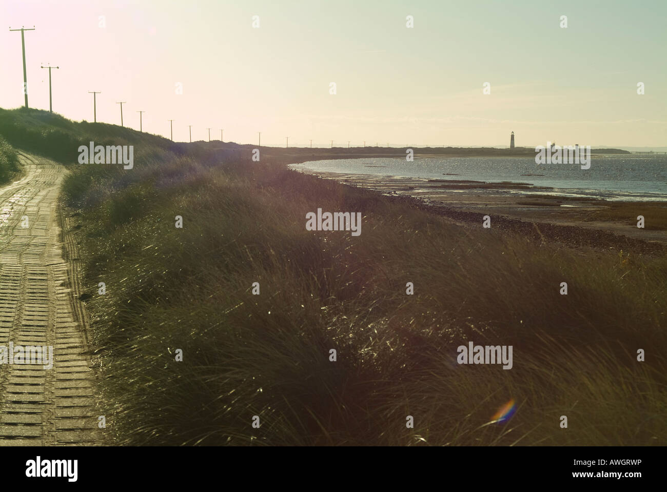 Spurn Point East Yorkshire Nature reserve Stock Photo - Alamy