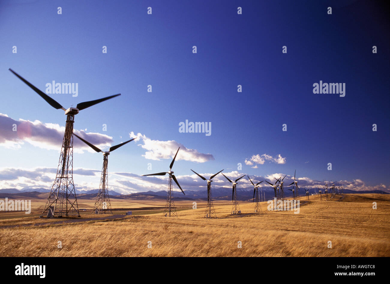 Power generating windmills near Pincher Creek Alberta Canada Stock ...